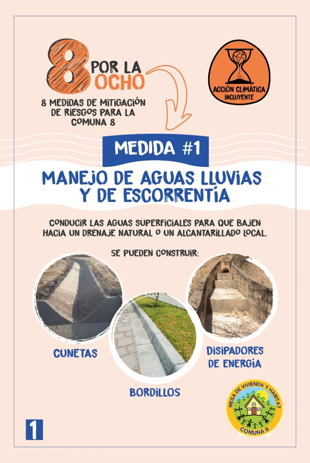 La Comuna 8 presenta sus propuestas para la Acción Climática - Mi ...